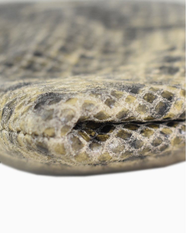 Bolsa Coach Python Original Feminina